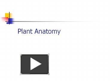 Plant Anatomy presentation | free to view