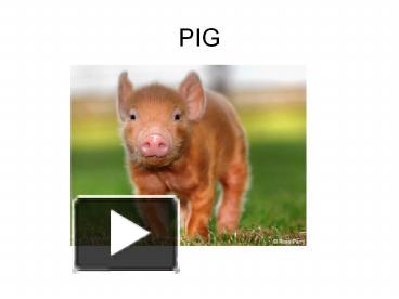 PPT – PIG PowerPoint presentation | free to download - id: 3b57a1-OTE4Z