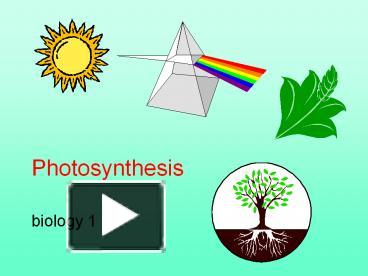 Photosynthesis presentation | free to download