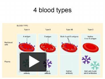 PPT – 4 blood types PowerPoint presentation | free to download - id ...