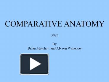 COMPARATIVE ANATOMY presentation | free to view