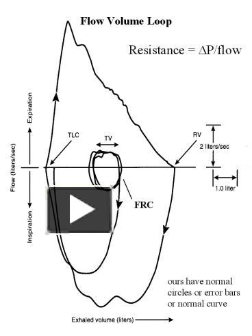 PPT – Flow Volume Loop Resistance = P/flow FRC ours have normal ...
