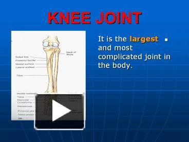 PPT – KNEE JOINT PowerPoint presentation | free to view - id: 3b78c9-ZjFiN