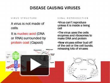 PPT – Disease causing viruses PowerPoint presentation | free to ...