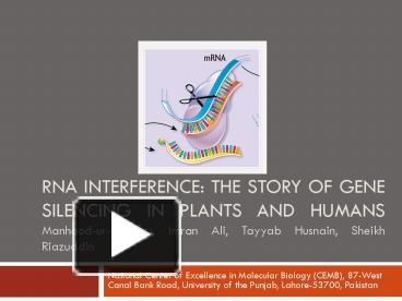 RNA INTERFERENCE: The story of gene silencing in plants and humans ...