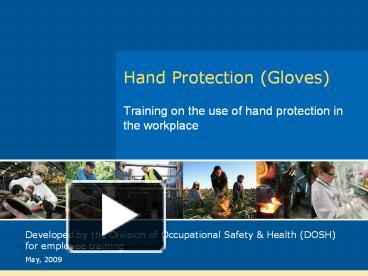 Hand Protection (Gloves) presentation | free to download
