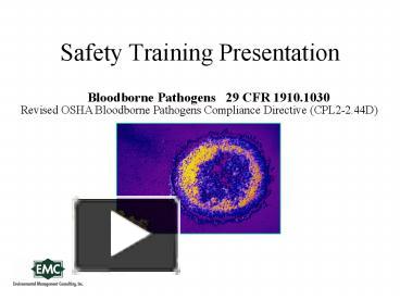 PPT – Safety Training Presentation PowerPoint presentation | free to ...