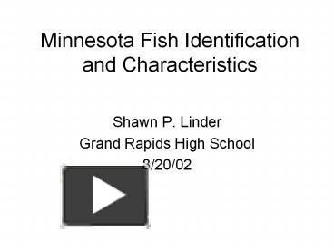 Minnesota Fish Identification and Characteristics presentation | free ...