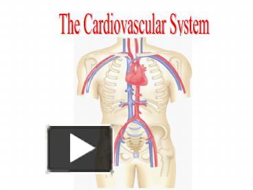 Cardiovascular System presentation | free to view