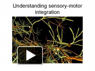 PPT – Understanding sensory-motor integration PowerPoint presentation ...