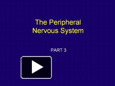 PPT – The Peripheral Nervous System PowerPoint presentation | free to ...