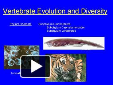 Vertebrate Evolution and Diversity presentation | free to view