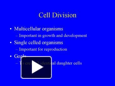 PPT – Cell Division PowerPoint presentation | free to view - id: 3bf4f0 ...