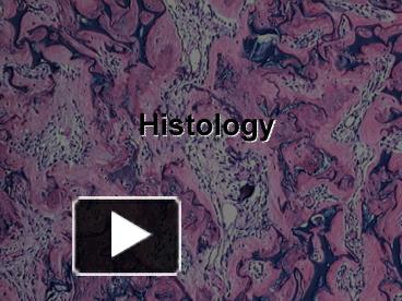 Histology presentation | free to view