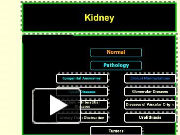 PPT – CYSTIC RENAL DYSPLASIA ... Sponge like Kidney ,Dilated PowerPoint ...