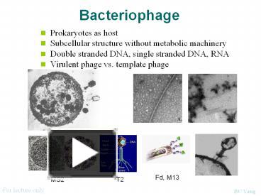 Bacteriophage presentation | free to view