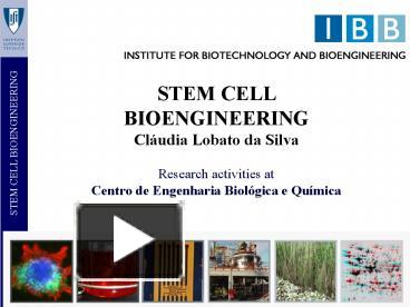 STEM CELL BIOENGINEERING presentation | free to view