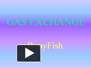 PPT – GAS EXCHANGE PowerPoint presentation | free to view - id: 3c2fc9 ...