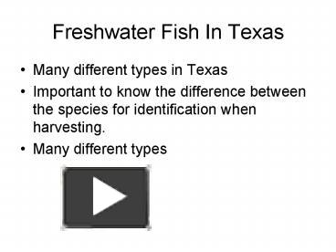 Freshwater Fish In Texas presentation | free to view