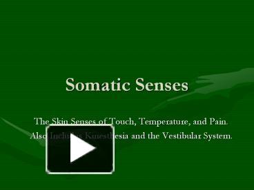 PPT – Somatic Senses PowerPoint presentation | free to view - id ...