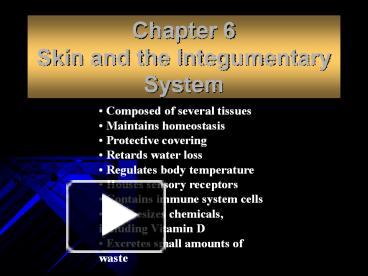 Chapter 6 Skin and the Integumentary System presentation | free to download
