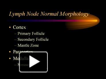 Lymph Node Normal Morphology Presentation Free To View