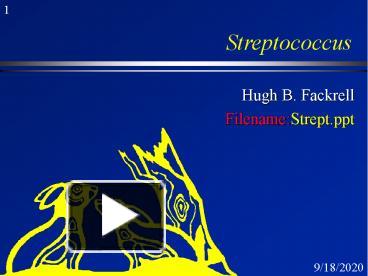 Streptococcus presentation | free to download