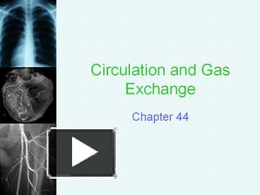 Circulation and Gas Exchange presentation | free to view