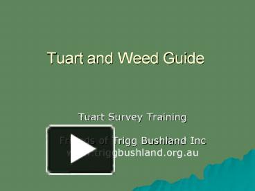 PPT – Tuart and Weed Guide PowerPoint presentation | free to download ...