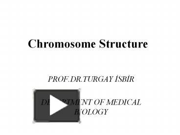 PPT – PROF.DR.TURGAY ISBIR PowerPoint presentation | free to download ...