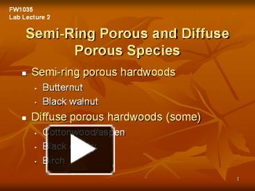 PPT – Semi-Ring Porous and Diffuse Porous Species PowerPoint ...