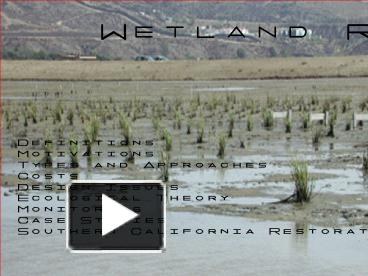 Wetland Restoration presentation | free to view