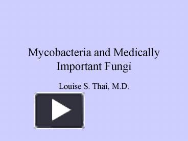 PPT – Mycobacteria and Medically Important Fungi PowerPoint ...