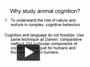 Why study animal cognition? presentation | free to view