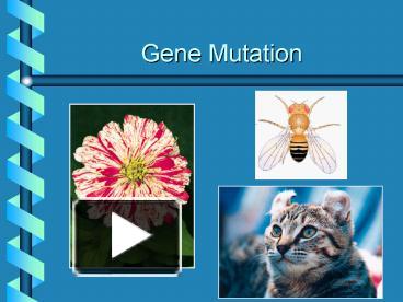 PPT – Gene Mutation PowerPoint presentation | free to view - id: 3ccff ...