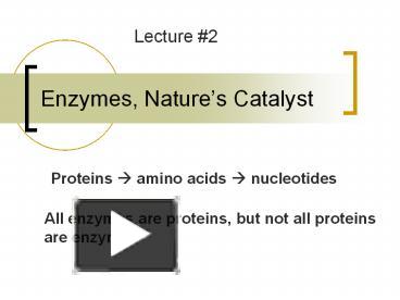 PPT – Enzymes, Nature’s Catalyst PowerPoint presentation | free to view ...