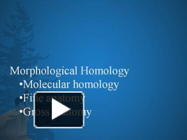 Morphological Homology presentation | free to view