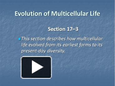 PPT – Evolution of Multicellular Life PowerPoint presentation | free to ...