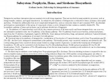 Subsystem: Porphyrin, Heme, and Siroheme Biosynthesis presentation ...