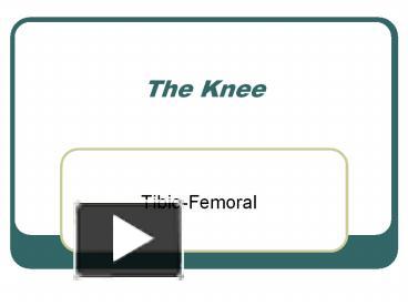 PPT – The Knee PowerPoint presentation | free to download - id: 3cf703 ...