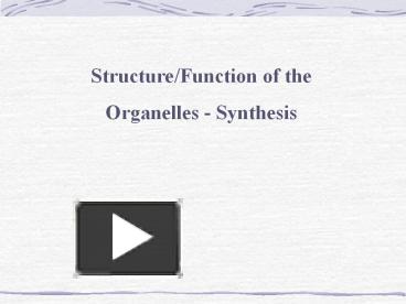 PPT – Structure/Function of the PowerPoint presentation | free to view ...