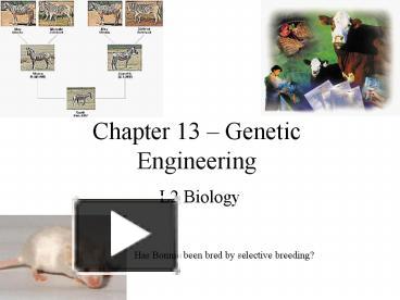 PPT – Chapter 13 – Genetic Engineering PowerPoint presentation | free ...