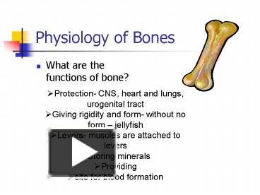 Physiology of Bones presentation | free to view