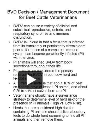 PPT – BVD Decision Management Document for Beef Cattle Veterinarians ...