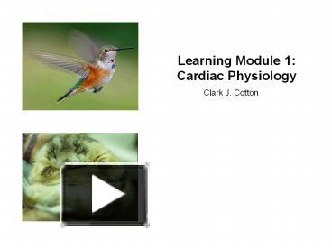 Learning Module 1: Cardiac Physiology presentation | free to download