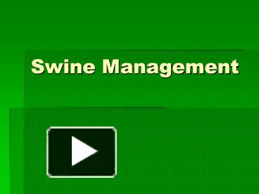 Swine Management presentation | free to view