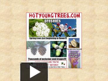 PPT – Plant Reproduction PowerPoint presentation | free to download ...