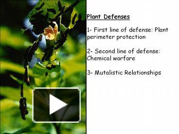 Plant Defense presentation | free to download