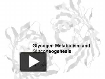 PPT – Glycogen Metabolism and Gluconeogenesis PowerPoint presentation ...