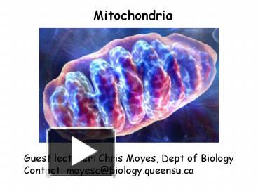 Mitochondria presentation | free to view